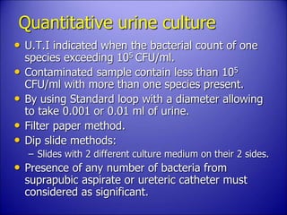 1. urinary tract infection (UTI) | PPT