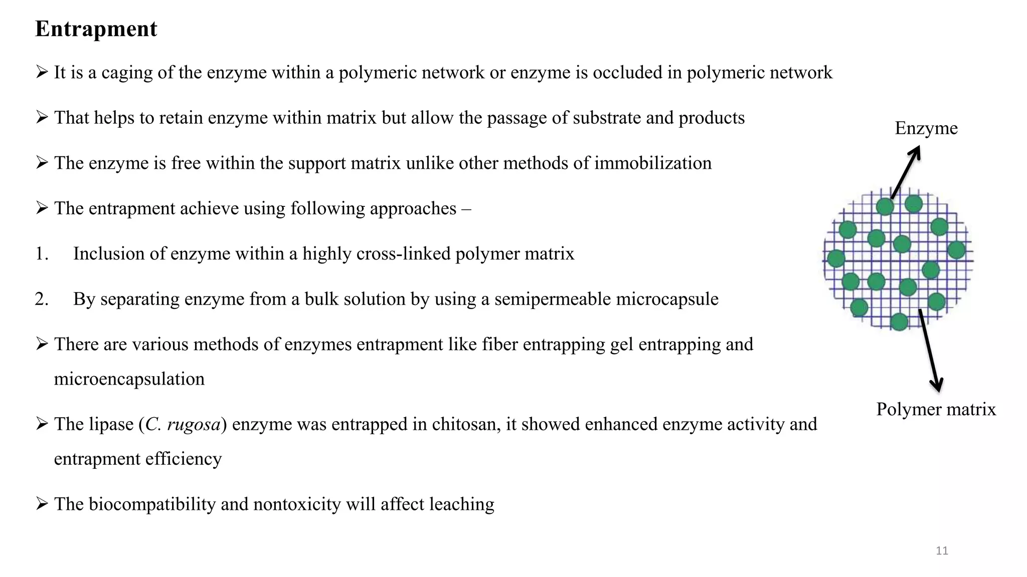 Enzyme immobilization | PPTX