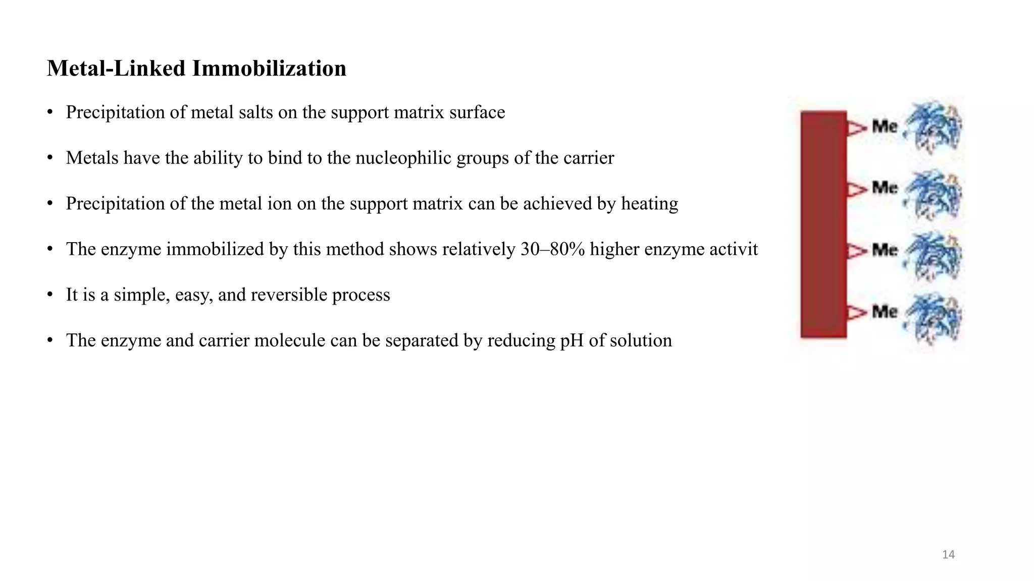 Enzyme immobilization | PPTX
