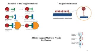 Enzyme immobilization | PPTX