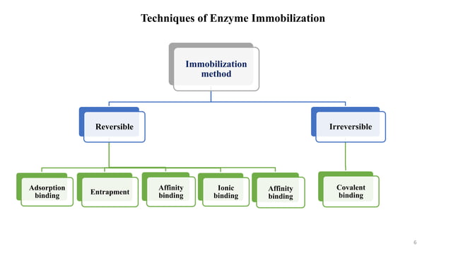 Enzyme immobilization | PPT