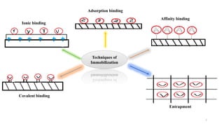 Enzyme immobilization | PPTX