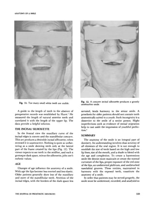 THE ANATOMY OF SMILE | PDF
