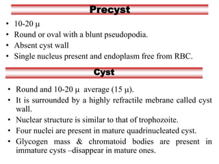 1. Entamoeba histolytica | PPTX