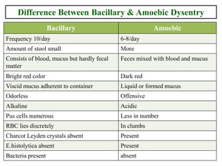 1. Entamoeba histolytica | PPTX