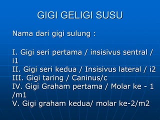 1. dental anatomi | PPT