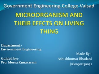 microorganism and their effect on living things | PPTX