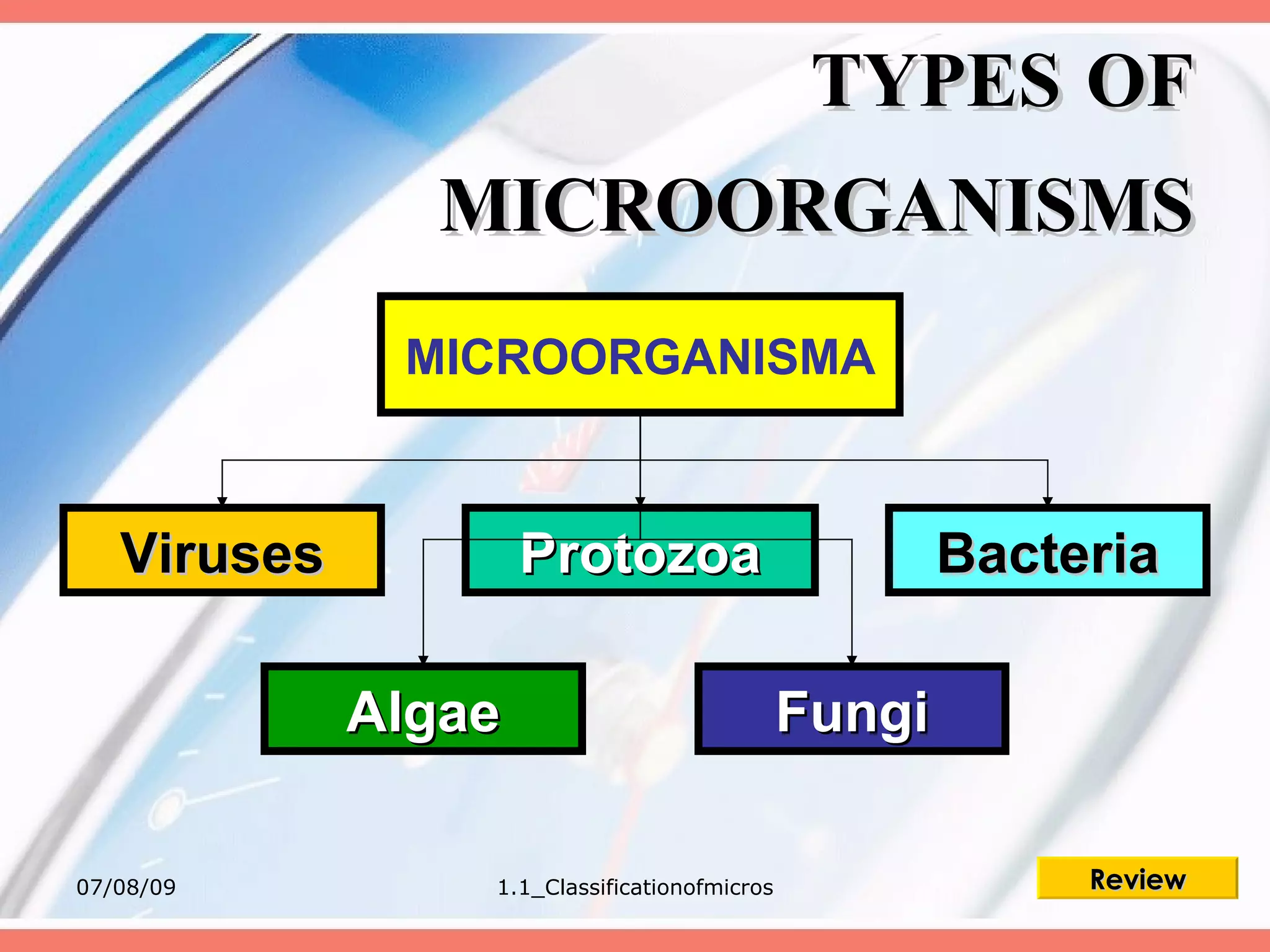 1.1 Classsification Of Microorganisms | PPT