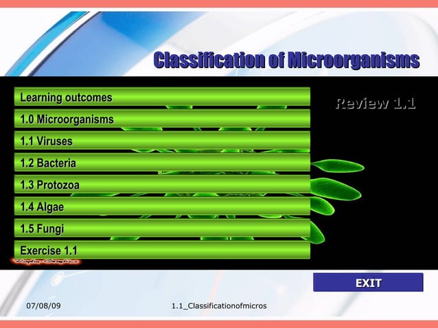 1.1 Classsification Of Microorganisms | PPT