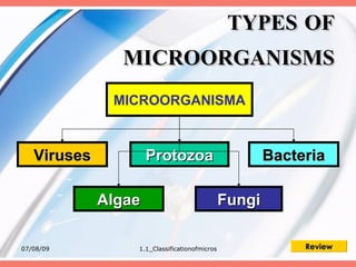 1.1 Classsification Of Microorganisms | PPT