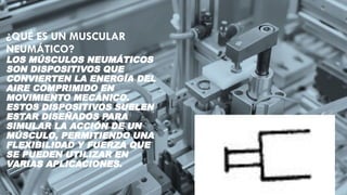 1-1 Control de cilindros neumáticos de simple y doble efecto, mandos ...