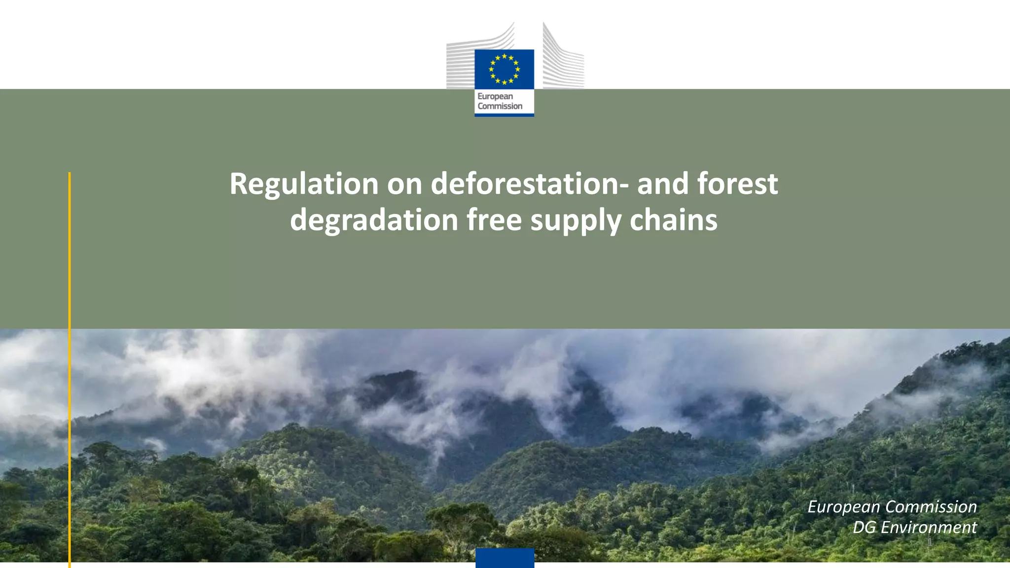 Regulation on deforestation- and forest degradation free supply chains ...