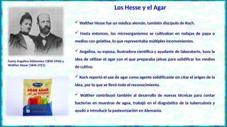 Desarrollo histórico de la microbiología | PPTX