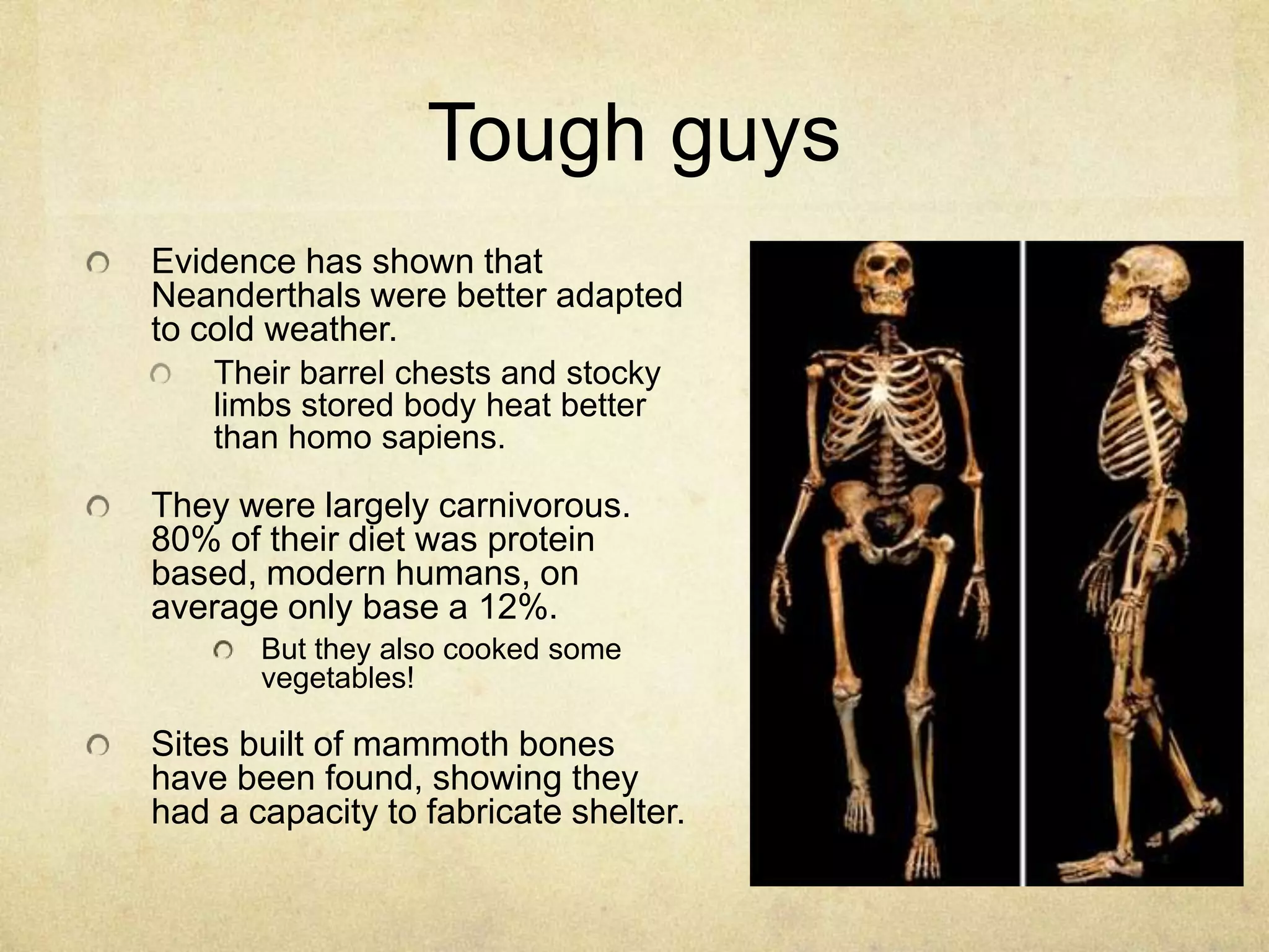1 1 Survival of the Fittest: Neanderthals | PPTX
