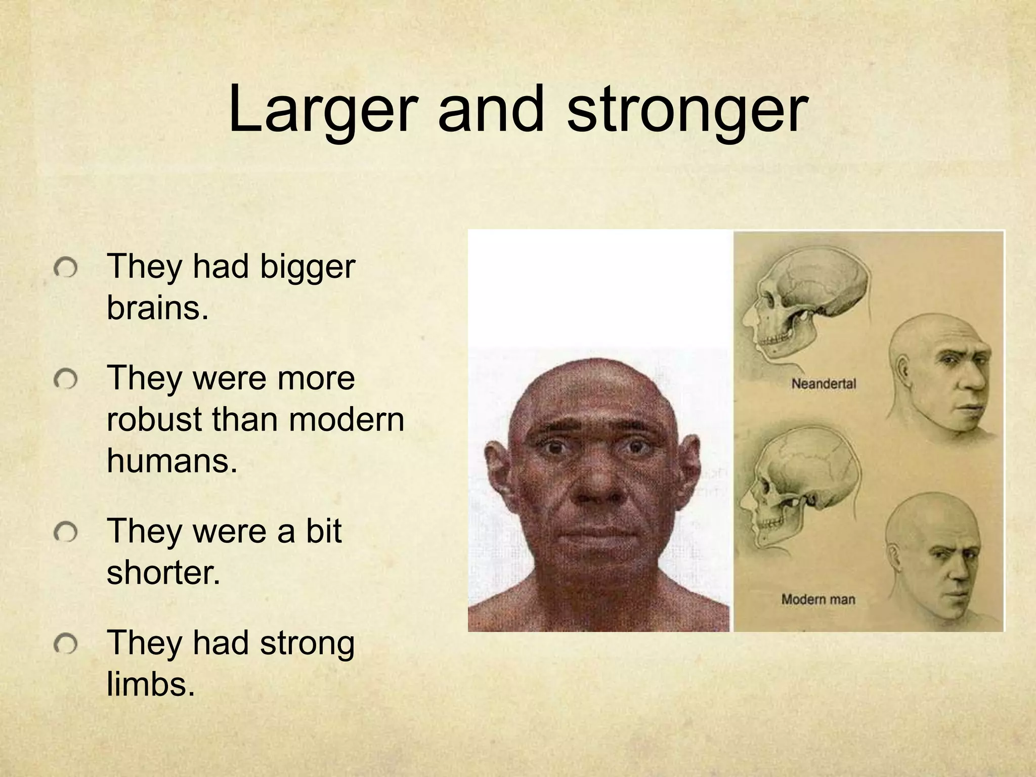 1 1 Survival of the Fittest: Neanderthals | PPTX