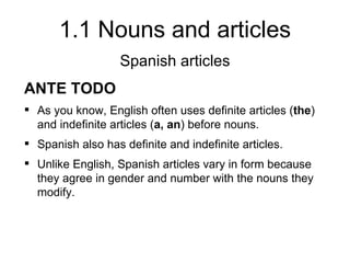 1.1 nouns and articles | PPT