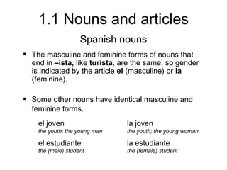 1.1 nouns and articles | PPT