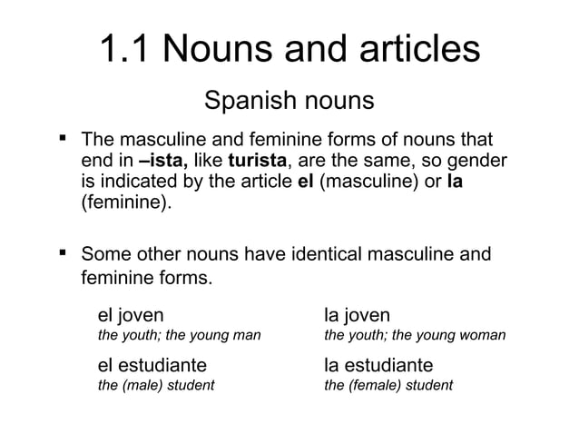 1.1 nouns and articles | PPT