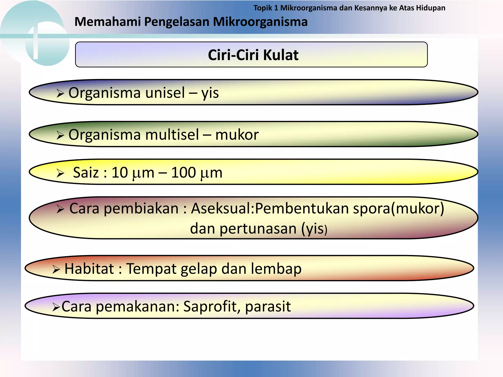 1.1 pengelasan mikroorganisma | PPTX