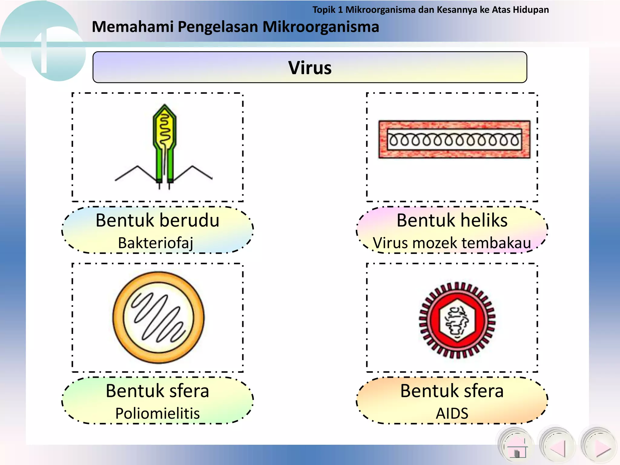 1.1 pengelasan mikroorganisma | PPTX