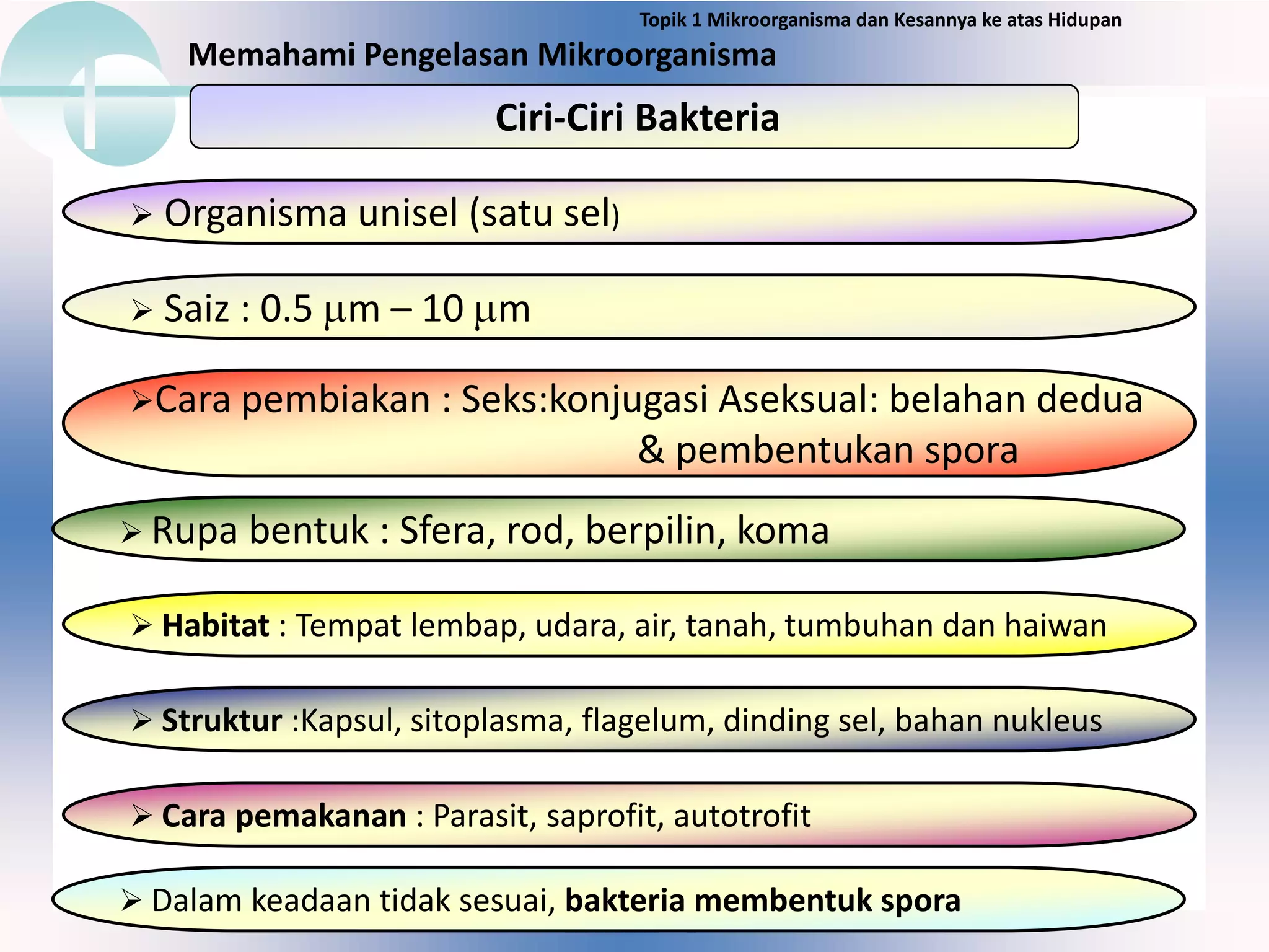 1.1 pengelasan mikroorganisma | PPTX