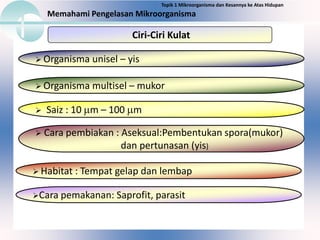 1.1 pengelasan mikroorganisma | PPTX