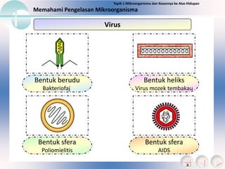 1.1 pengelasan mikroorganisma | PPTX