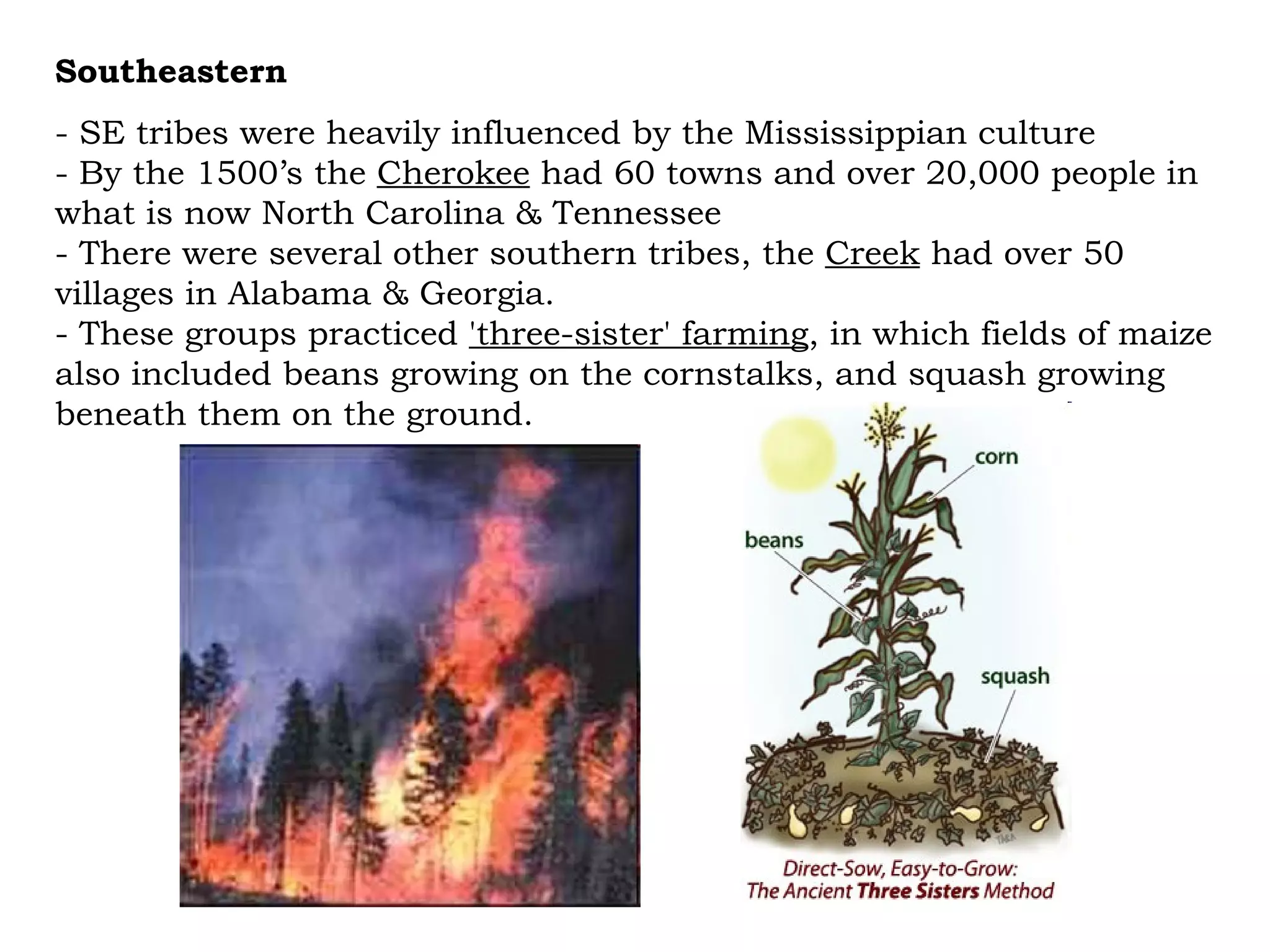 1.1 peopling the_americas | PPT