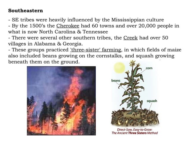 1.1 peopling the_americas | PPT | Genealogy and Ancestry | Hobbies ...