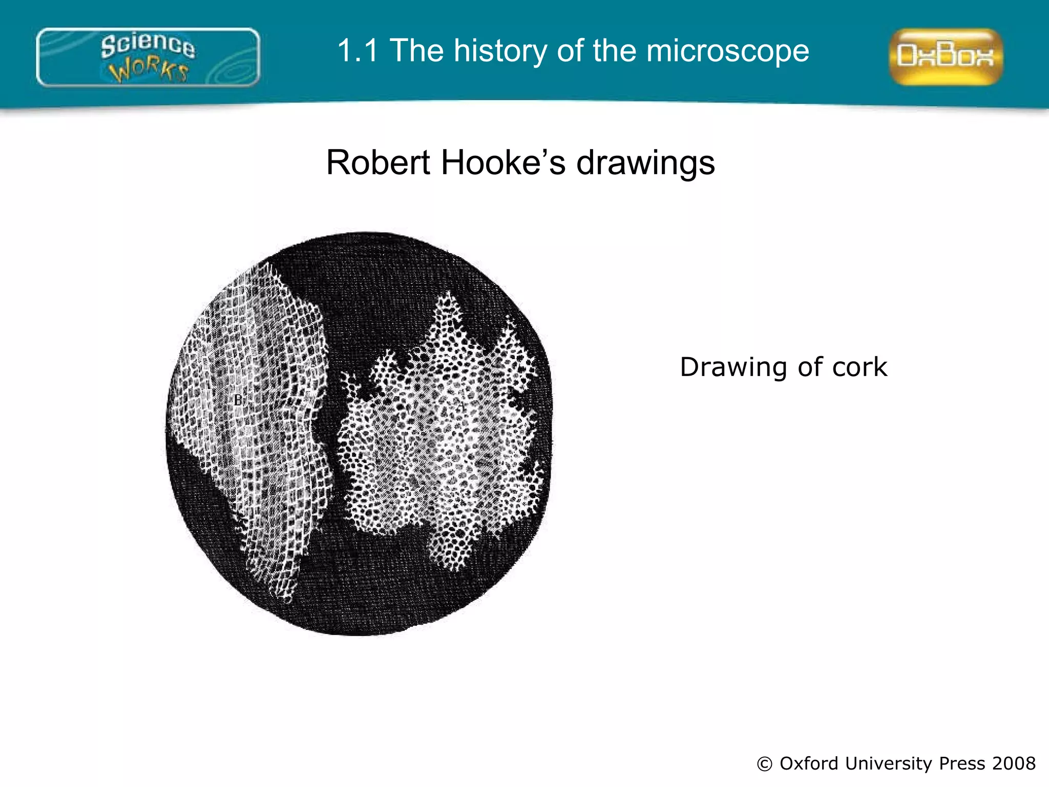 History of the microscope | PPT