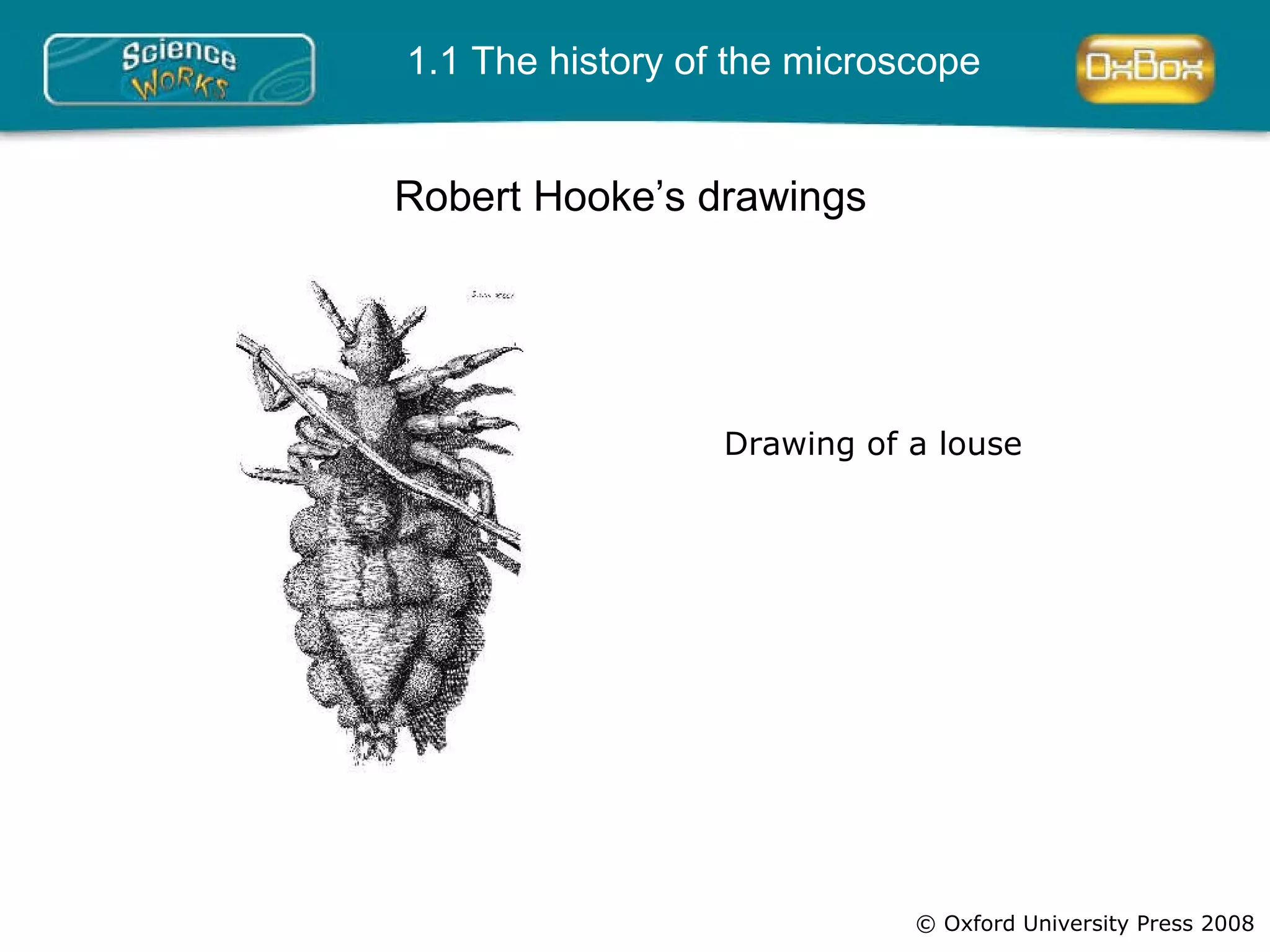 History of the microscope | PPT