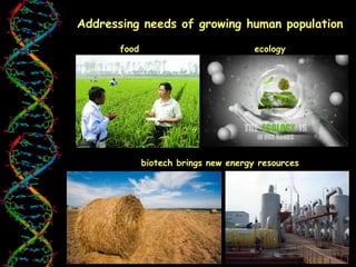 1 1 what is life science | PPT