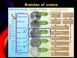 1 1 what is life science | PPT