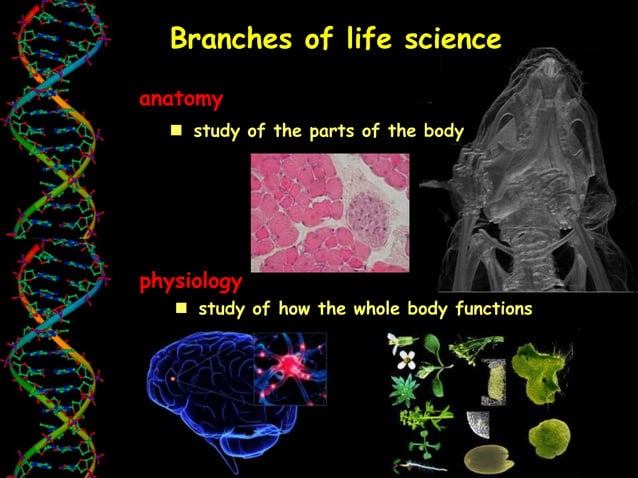 1 1 what is life science