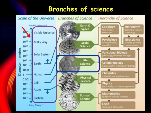 1 1 what is life science