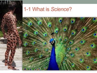1-1: What is Science? | PPTX