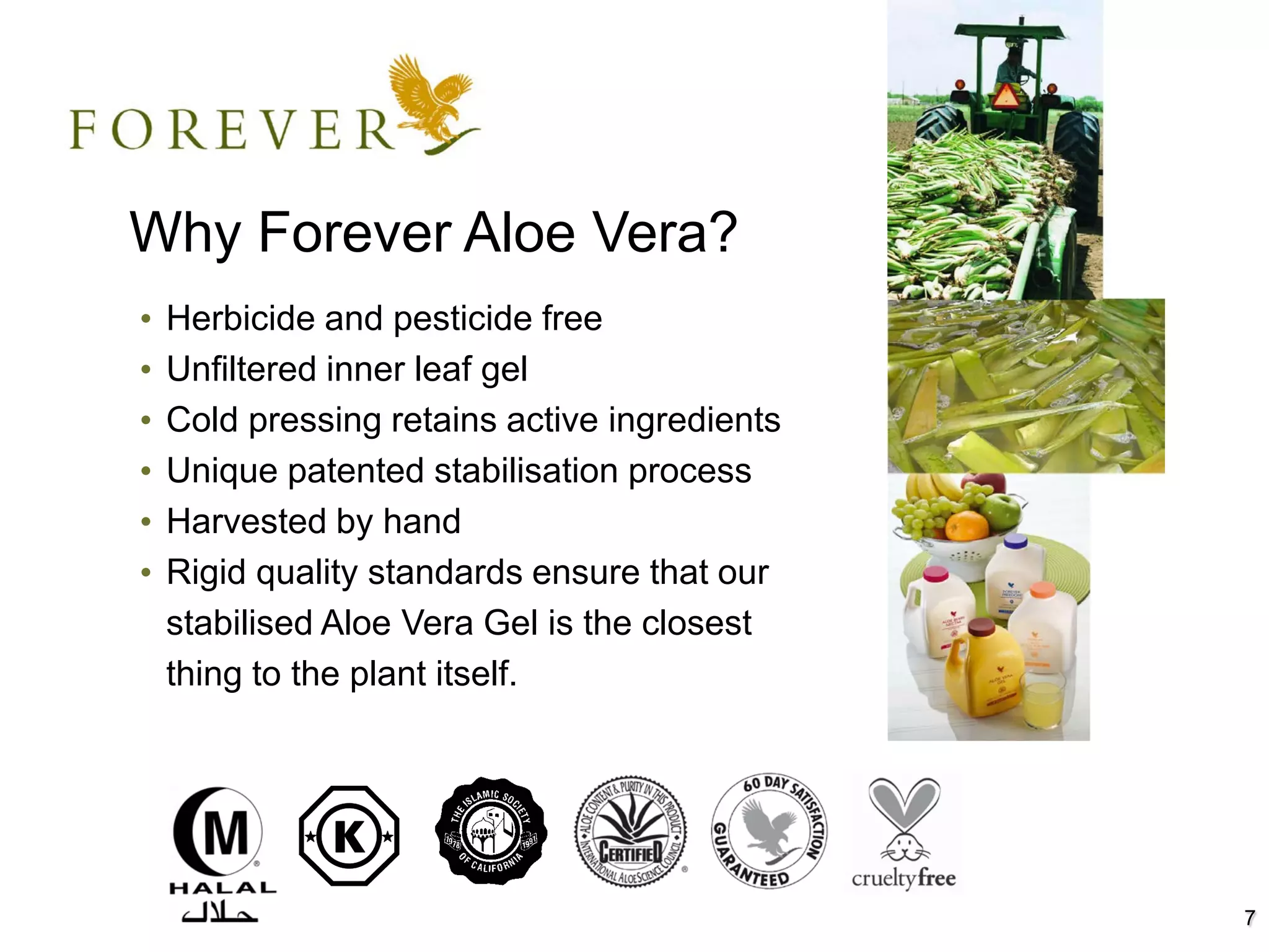 Forever Living Business presentation 1-1 | PDF