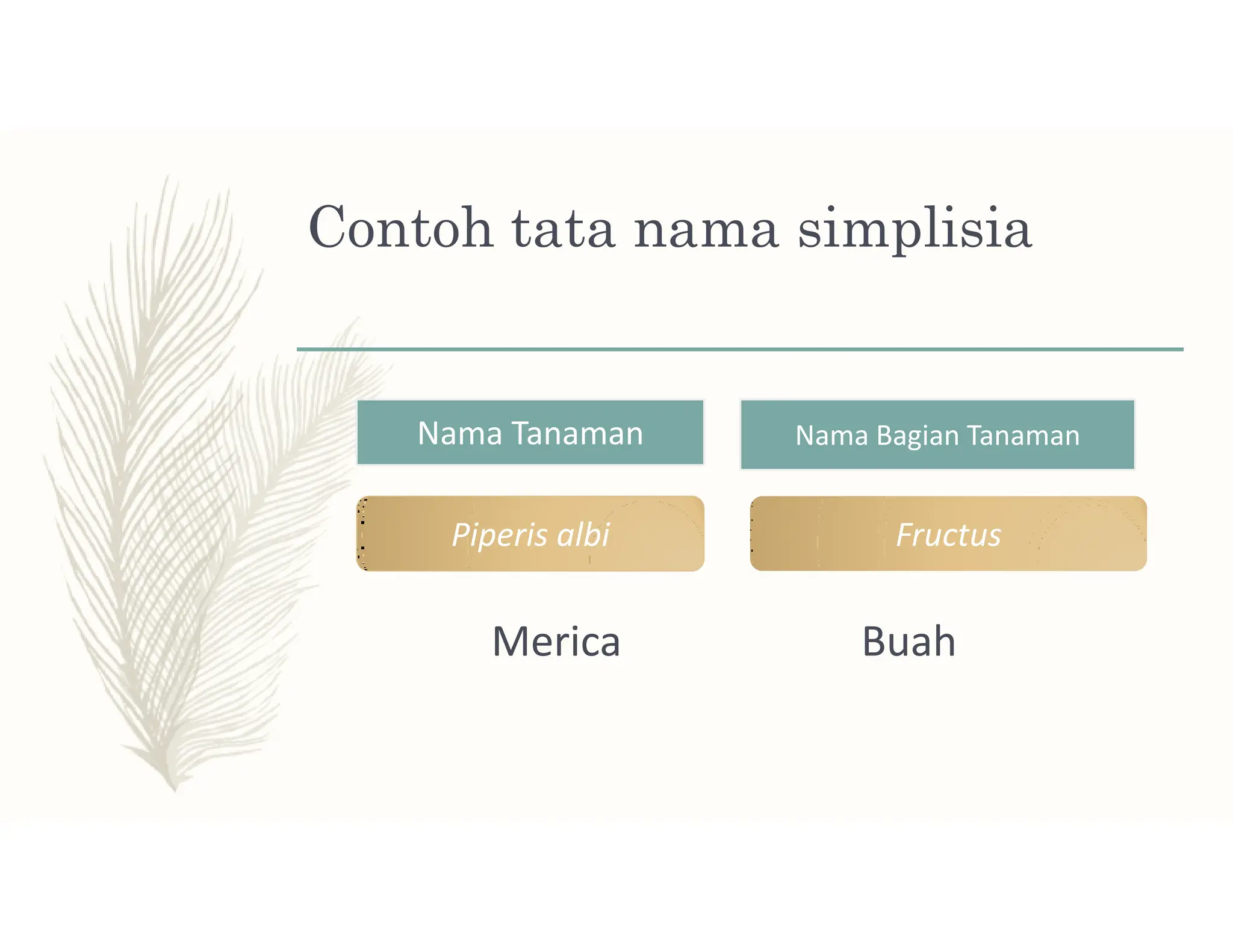 1-2. SIMPLISIA. Definisi, tata nama simplisia | PDF