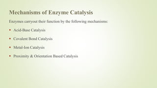 Basics of Enzyme Catalysis | PPTX