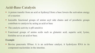 Basics of Enzyme Catalysis | PPTX