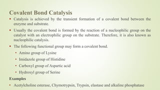 Basics of Enzyme Catalysis | PPTX