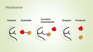 Basics of Enzyme Catalysis | PPT