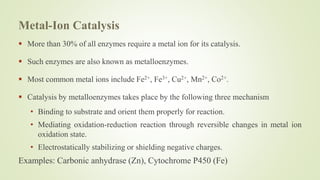 Basics of Enzyme Catalysis | PPT