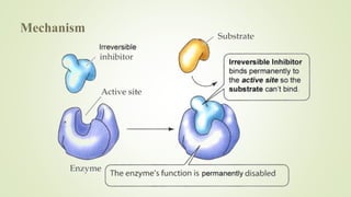 Basics of Enzyme Catalysis | PPT