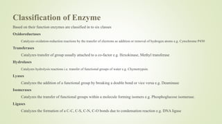 Basics of Enzyme Catalysis | PPT