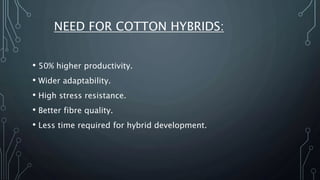 1.hybrid cotton development | PPTX