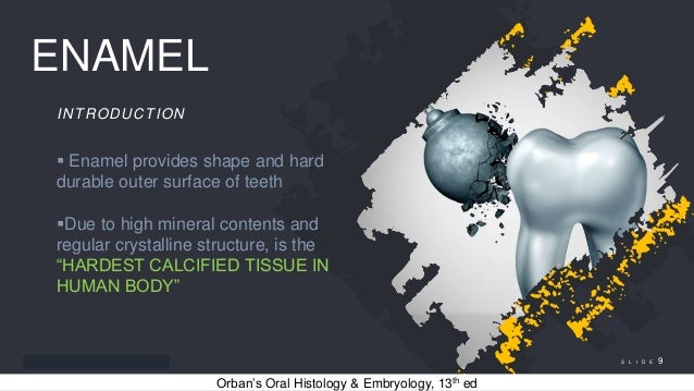 Enamel Meaning