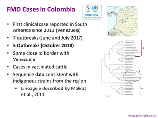 OS18 - 1.2 Global Status Report for FMD: Tracking the Emergence and ...