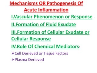 1.Acute Inflammation | PPTX | Blood Disorders | Diseases and Conditions