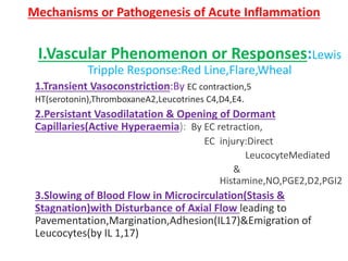 1.Acute Inflammation | PPTX